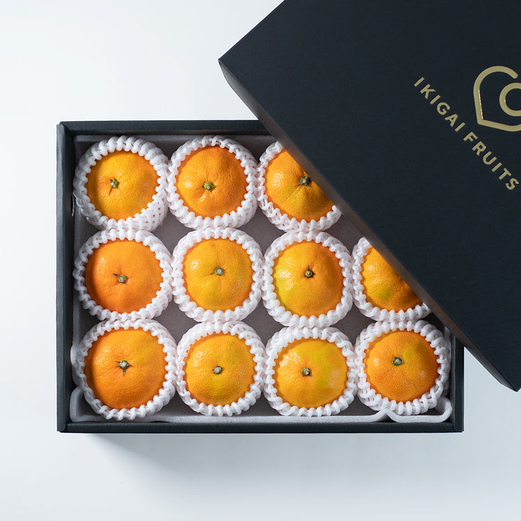 Japanese Oranges – ikigaifruits.com