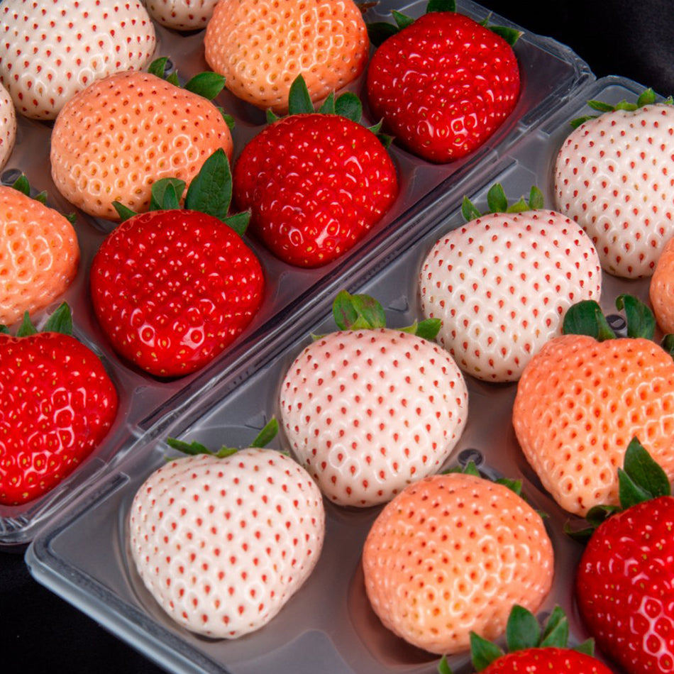 Japanese Strawberries – ikigaifruits.com