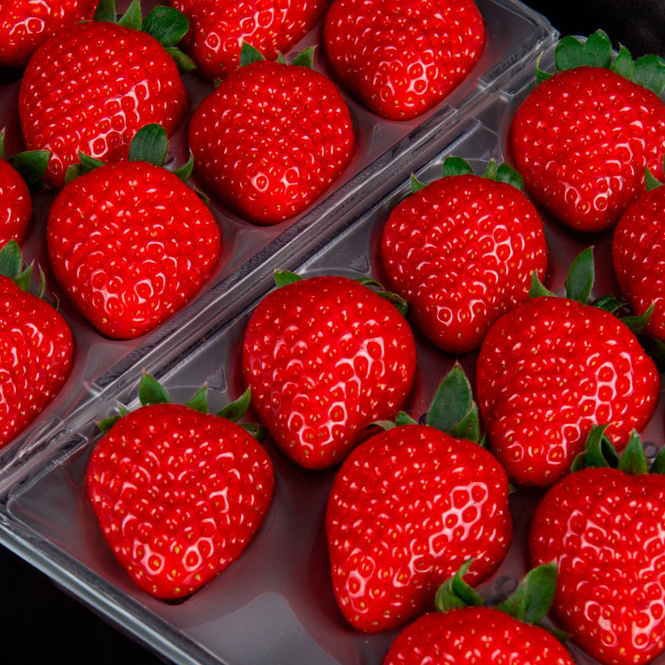 Kotoka Strawberries – ikigaifruits.com
