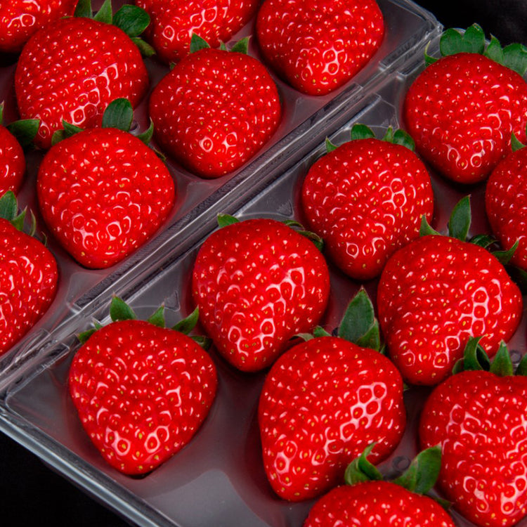 Japanese Strawberries – ikigaifruits.com