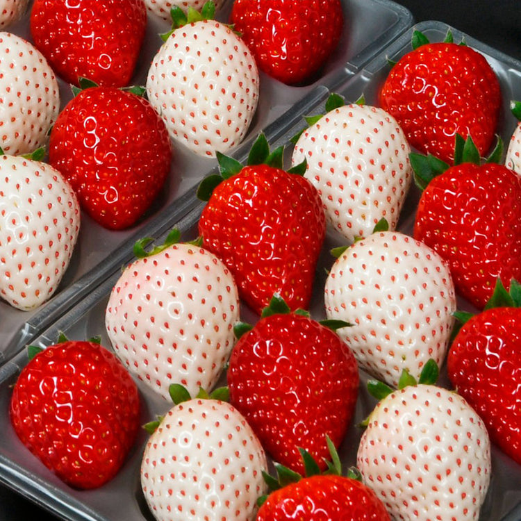 Japanese Strawberries – ikigaifruits.com