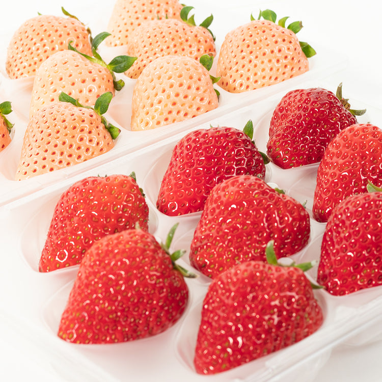 Japanese Strawberries – ikigaifruits.com