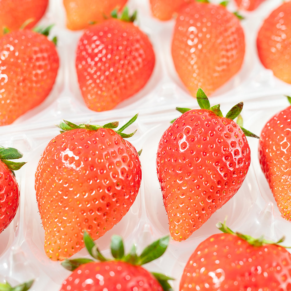 Japanese Strawberries – ikigaifruits.com