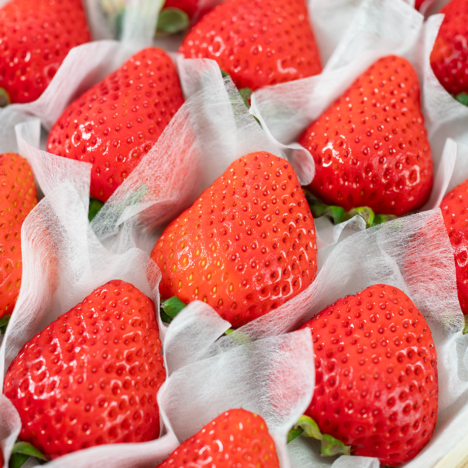Bijinhime (L) 20 Strawberries – ikigaifruits.com